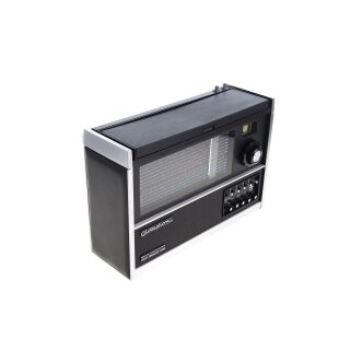 Globephone ICF 2003 DX Weltempfänger Radio